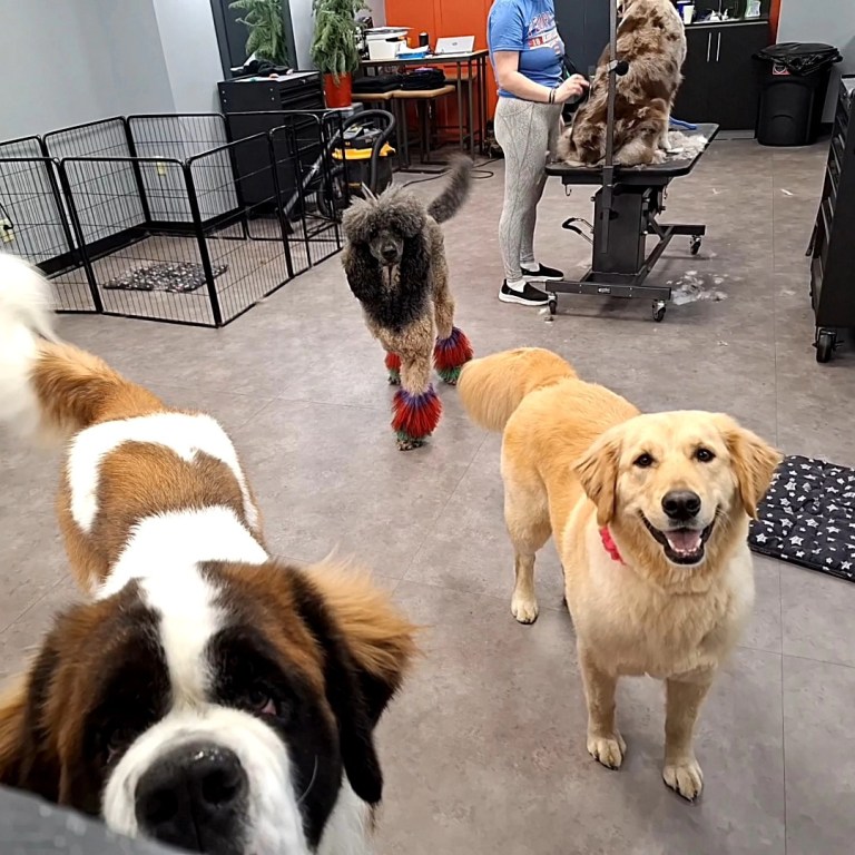 Unleashed Grooming Company