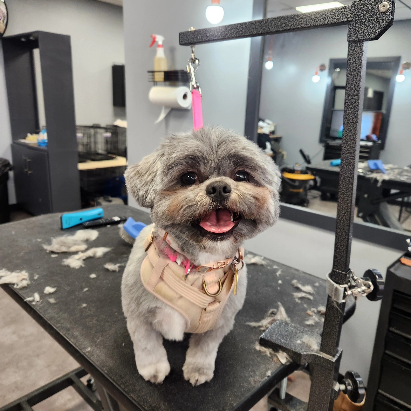 Unleashed Grooming Company